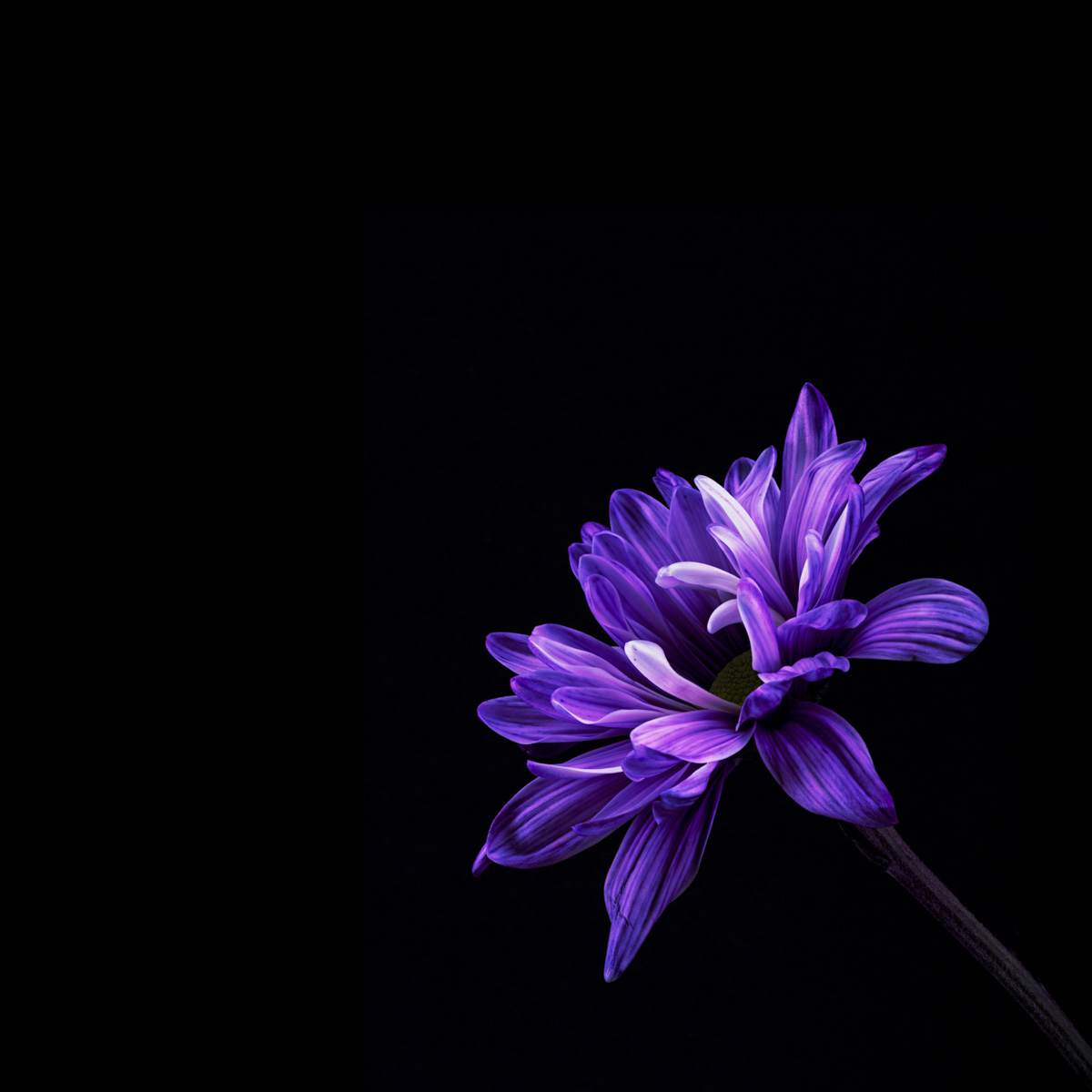 An end of year photo competition by the David Hancock YouTube Channel ...