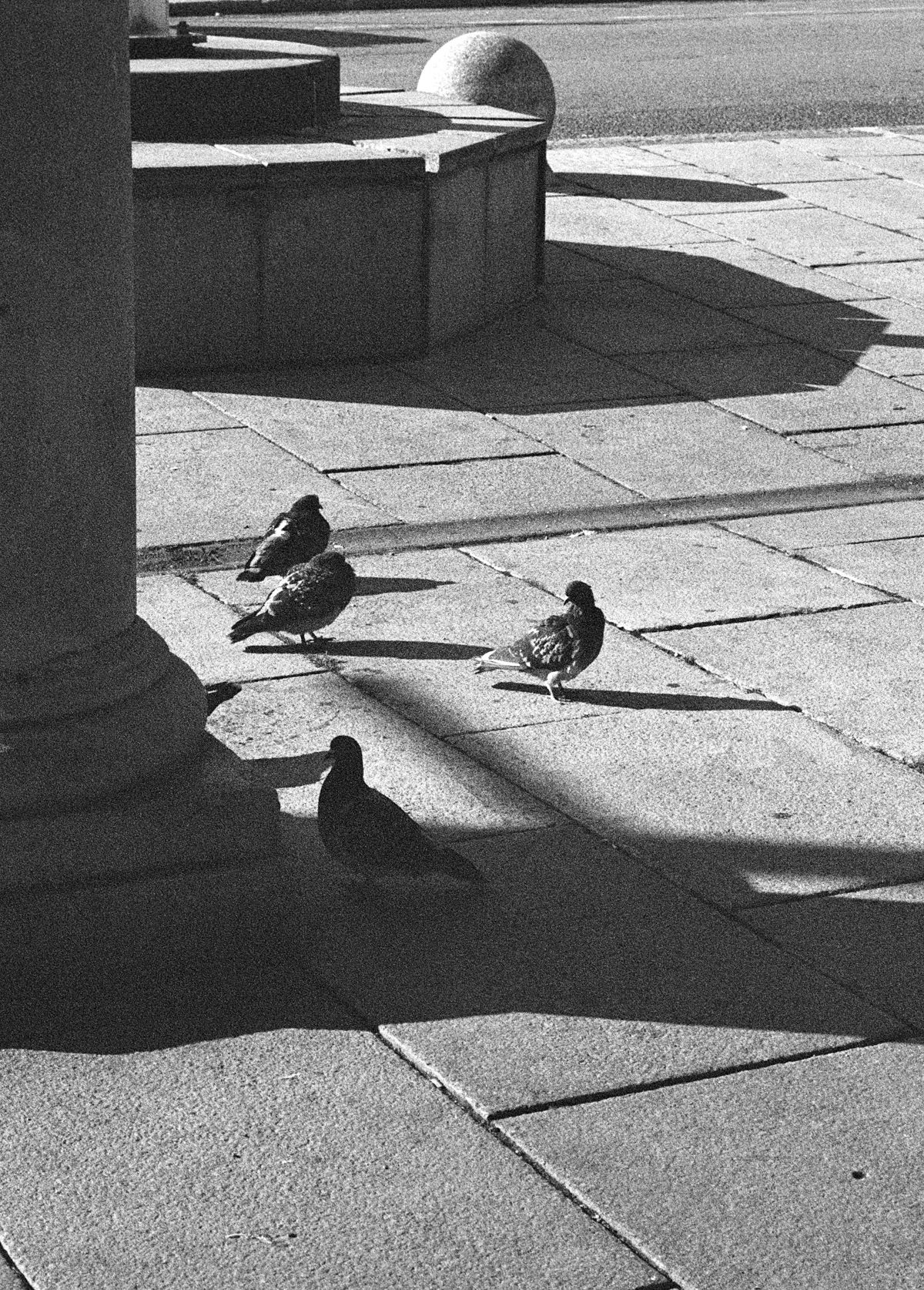 5 Frames... With the half-time-half-frame Konica Auto-Reflex (Fujifilm ...