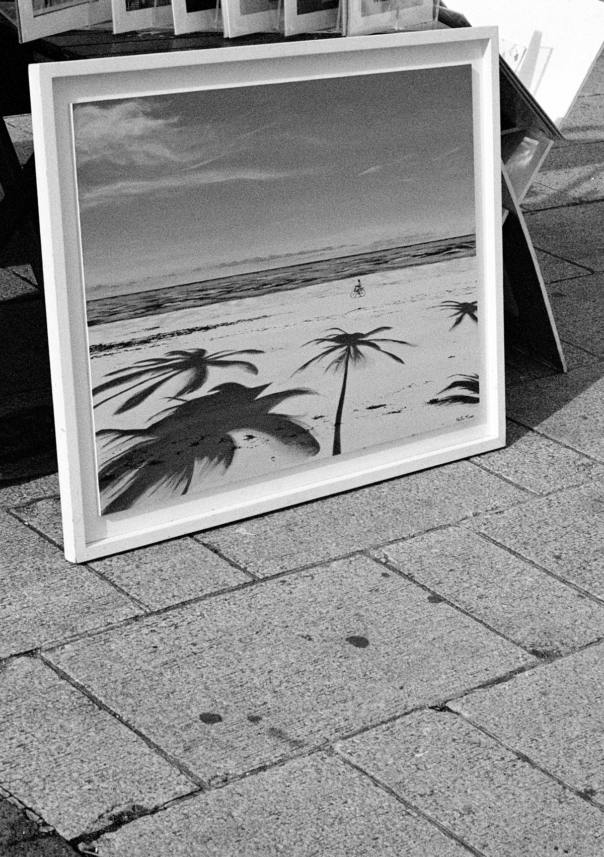 5 Frames... With the half-time-half-frame Konica Auto-Reflex (Fujifilm ...