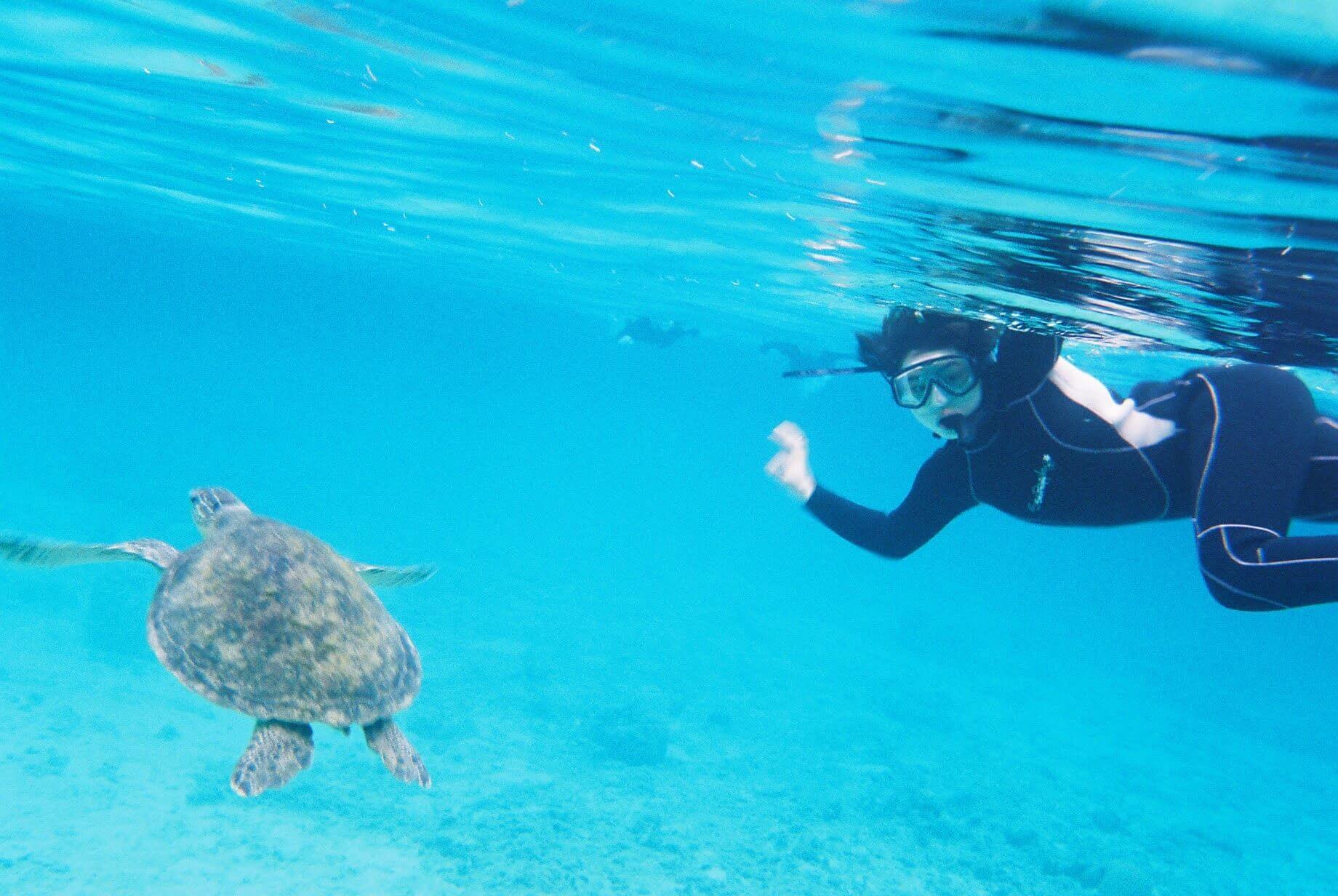 The Nikonos V: The underwater & on-land adventure camera - EMULSIVE