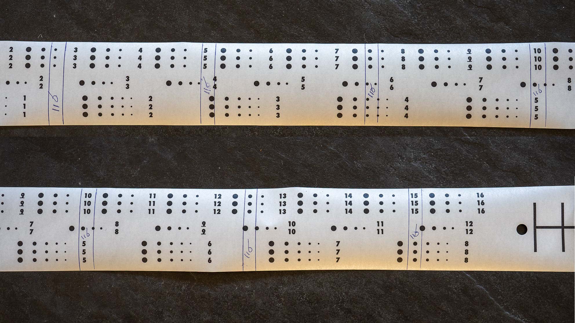 Shooting with film for the first time with a Kodak Brownie : r ...