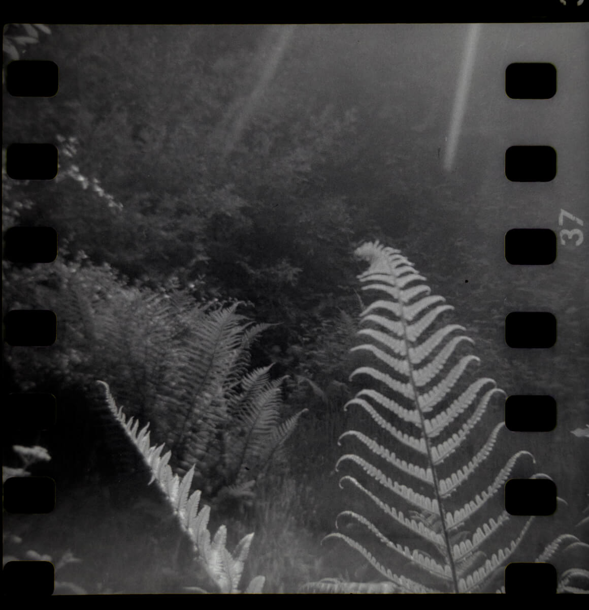 Start at the Stop: How to respool 35mm film into 127 (and 120) backing ...