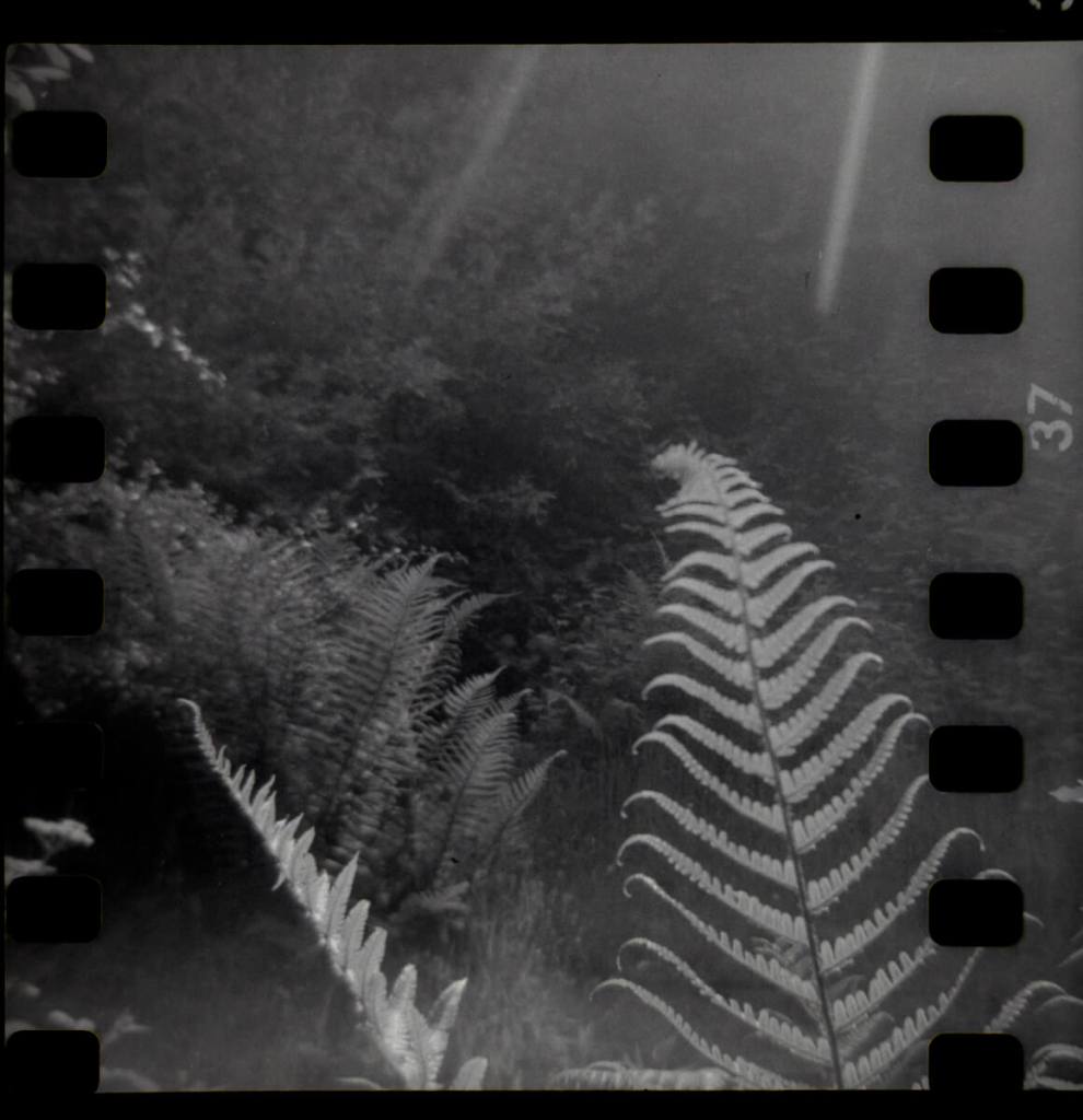 Start at the Stop: How to respool 35mm film into 127 (and 120) backing ...