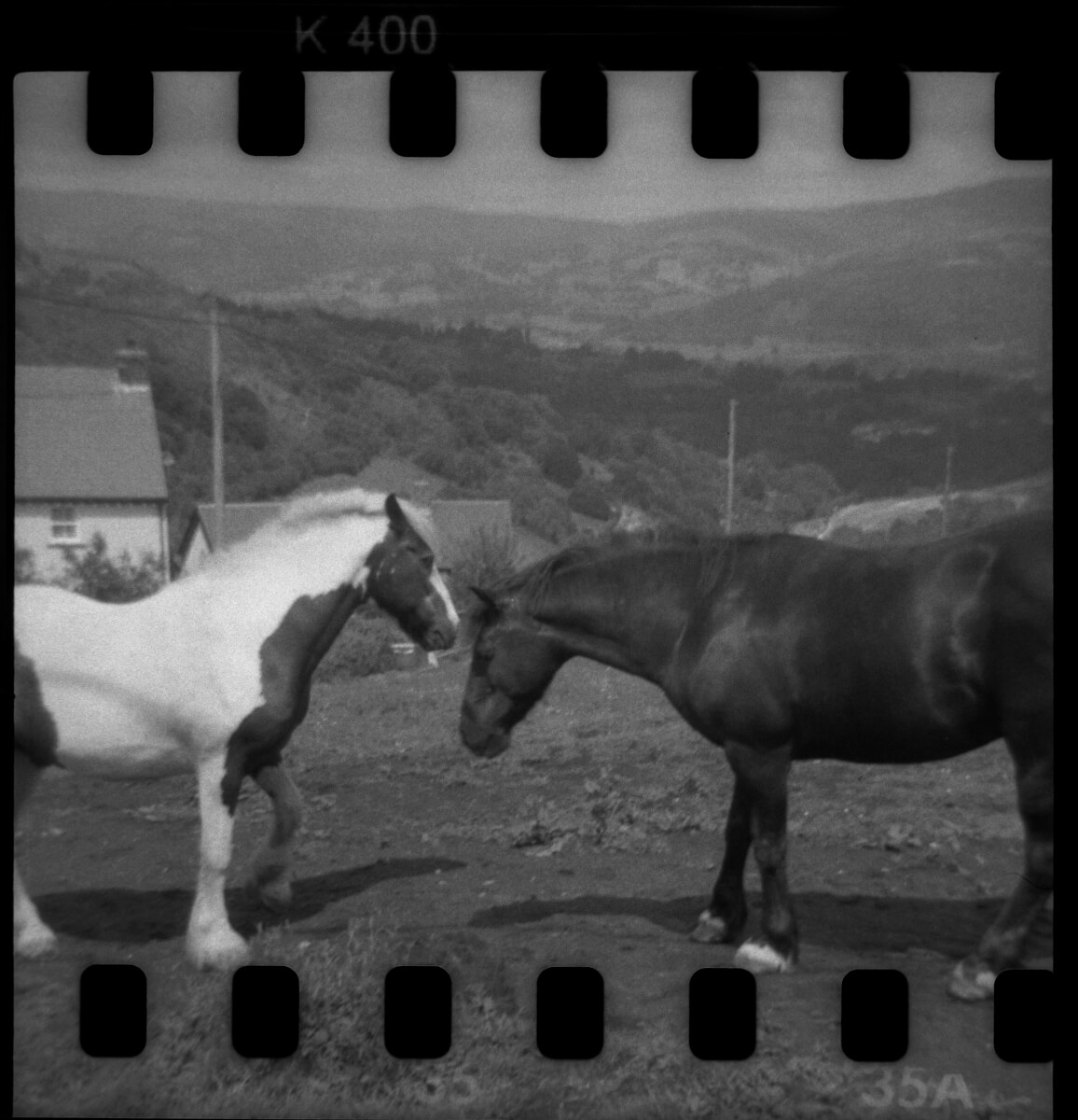 Start at the Stop: How to respool 35mm film into 127 (and 120) backing ...