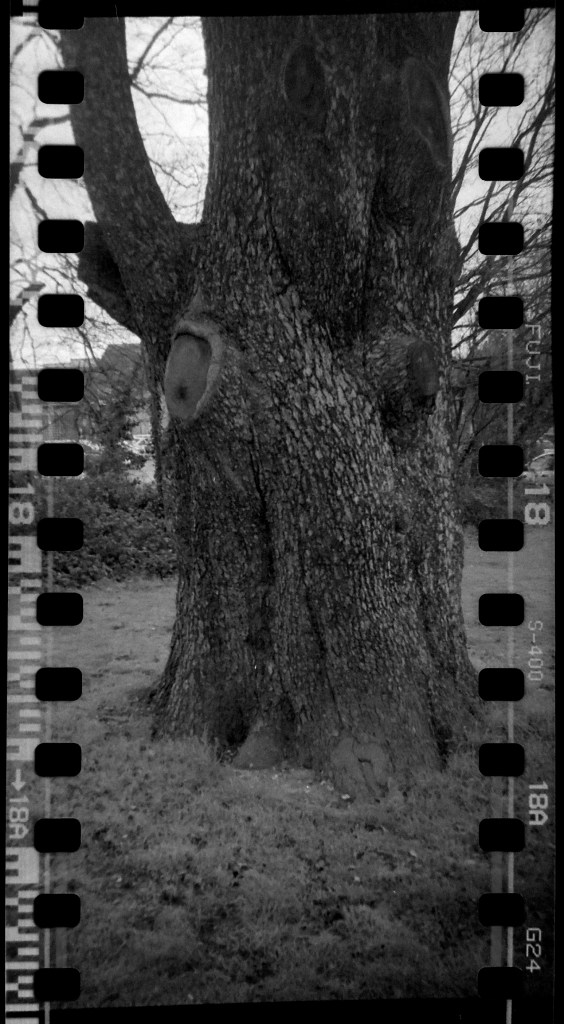 Start at the Stop: How to respool 35mm film into 127 (and 120) backing ...