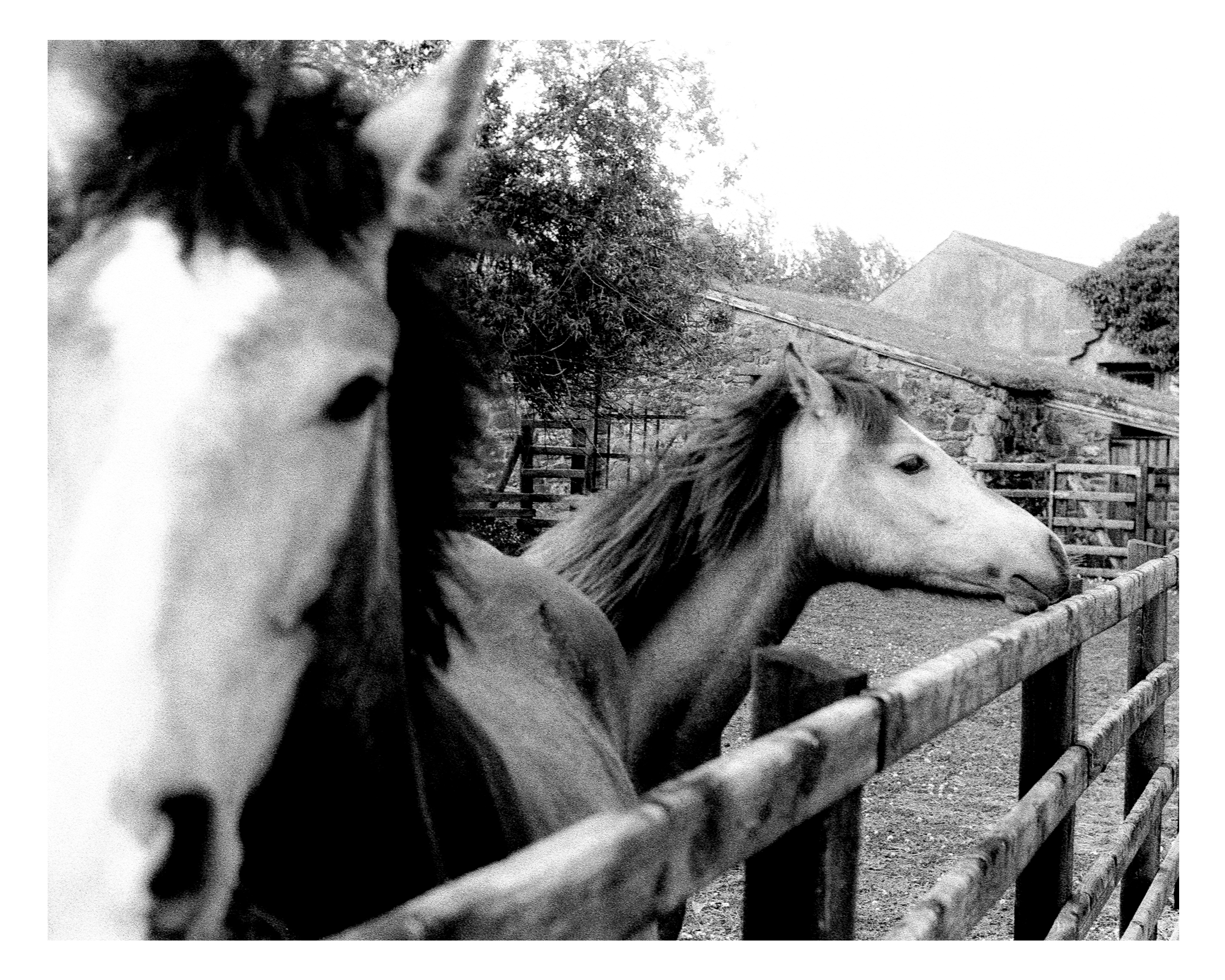 5 Frames... Of Portraits on ILFORD HP5 400 (35mm Format / EI 400 / Canon AE-1 Program + Canon FD ...