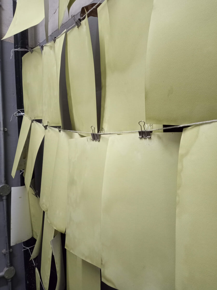 How I transformed cyanotype prints into a video for Vivienne Westwood ...