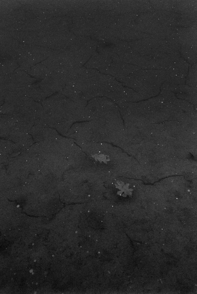 EMULSIVE Interview #228: I am Daniel Boklage and this is why I shoot ...