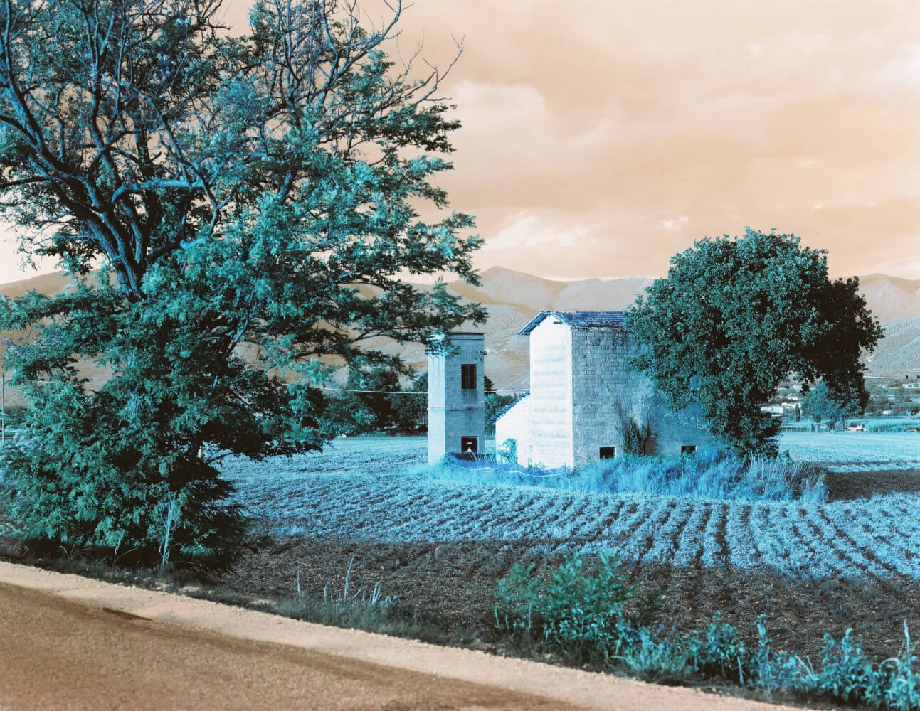 Lomography re-releases its unique LomoChrome Turquoise XR 100-400 in ...