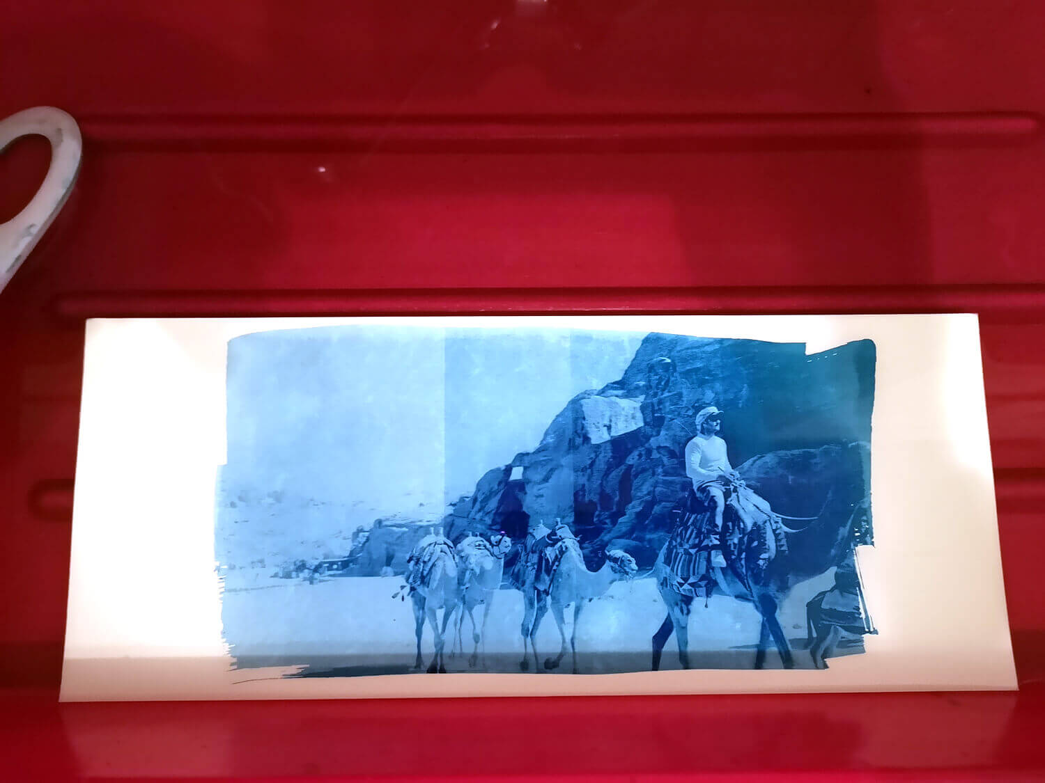 Elevating the humble cyanotype…with a UV-enlarger! - EMULSIVE