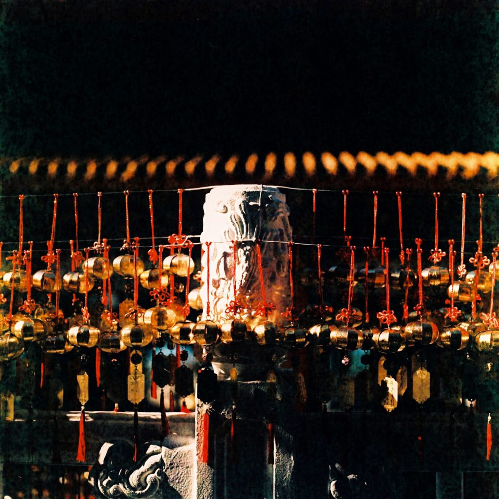 Second choice - Shot on Kodak EKTACHROME E100VS at EI 100 (120 format ...