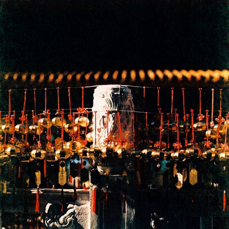 It can wait - Shot on Fuji Provia 100F (RDP III) at EI 100 (120 format ...