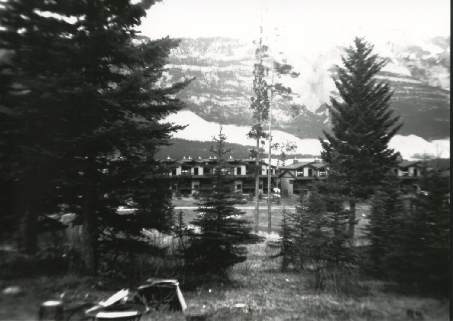 How-to: Shoot paper negatives with a Polaroid pack film Land Camera ...