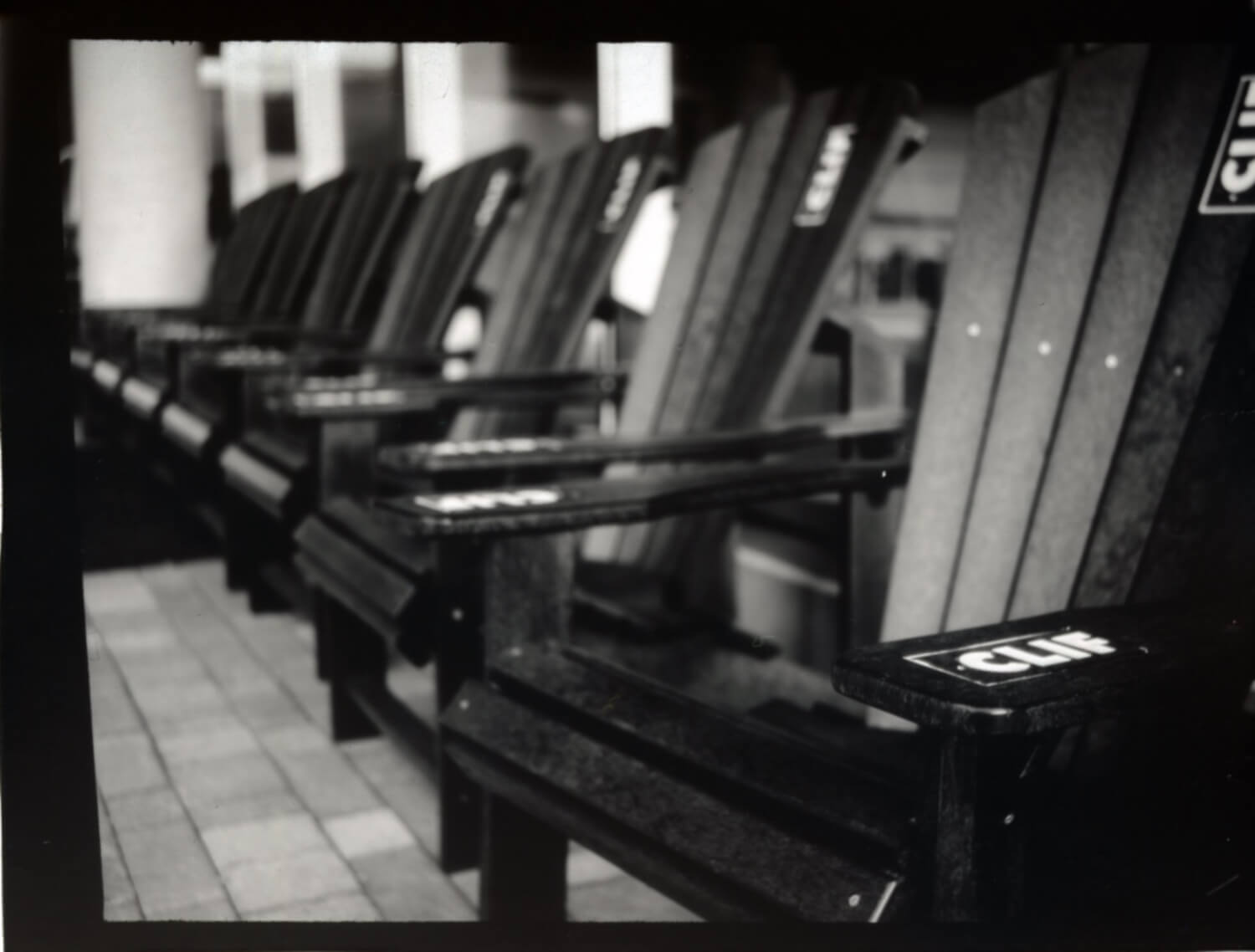 How-to: Shoot paper negatives with a Polaroid pack film Land Camera ...