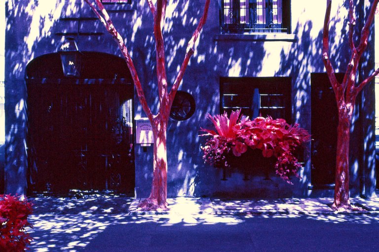 5 Frames... Of Type 103 H-Alpha Kodak Spectroscopic Film with a Canon ...